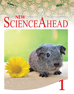 New ScienceAhead