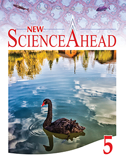 New ScienceAhead